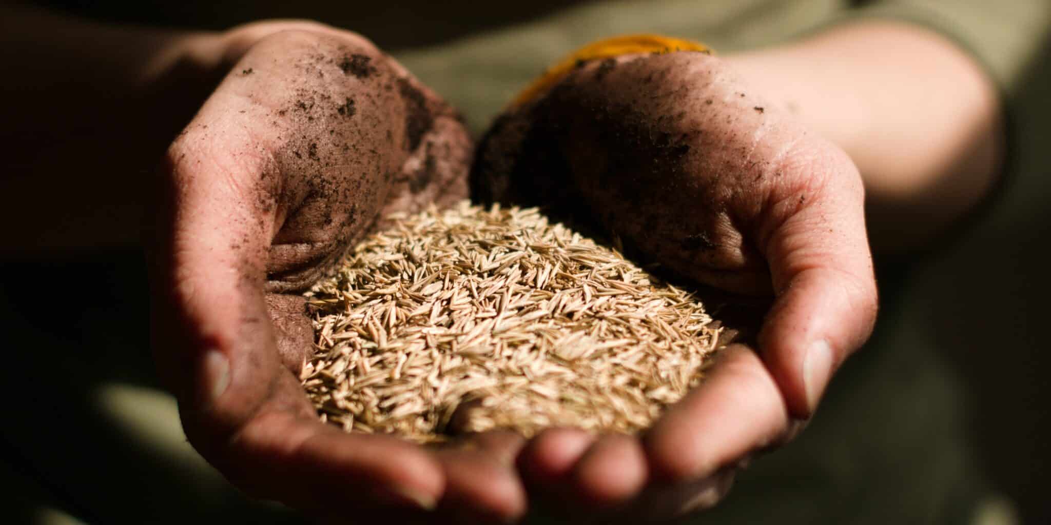 THE WHAT OF DISCIPLE MAKING - Discipleship.org